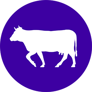 Jídelní lístek | Aramark MENU