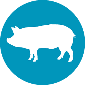 Jídelní lístek | Aramark MENU