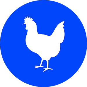 Jídelní lístek | Aramark MENU